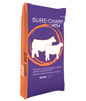 Cattle Feed - Sure Champ® Cattle - CFC Farm & Home