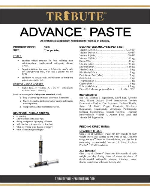 Equine - Advance Paste - CFC Farm & Home