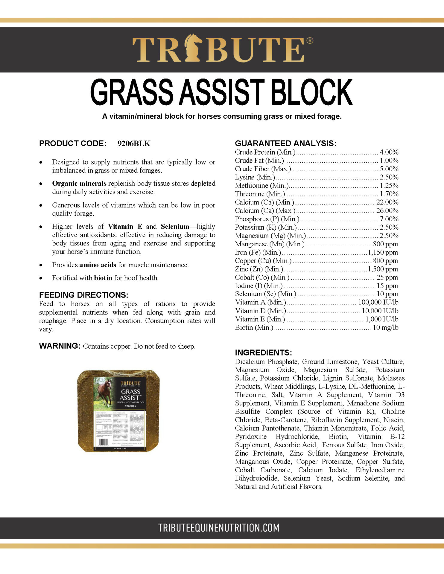 Equine - Grass Assist Block - CFC Farm & Home